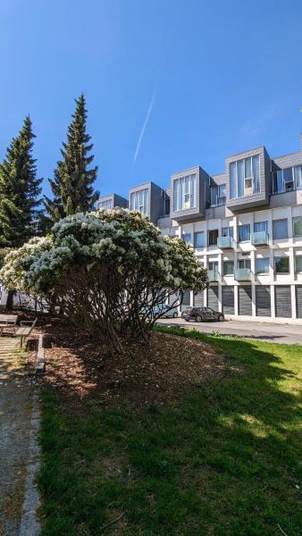 Kjekk Urban Leilighet - Stavanger
