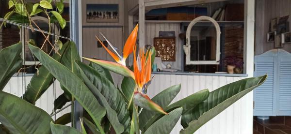 B&b Fischerstüble - Adults Only - Meersburg