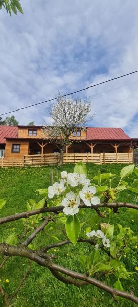 Chata U Vojta - Slovakia