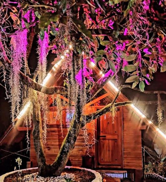 Cabañas La Miranda - Alcalá