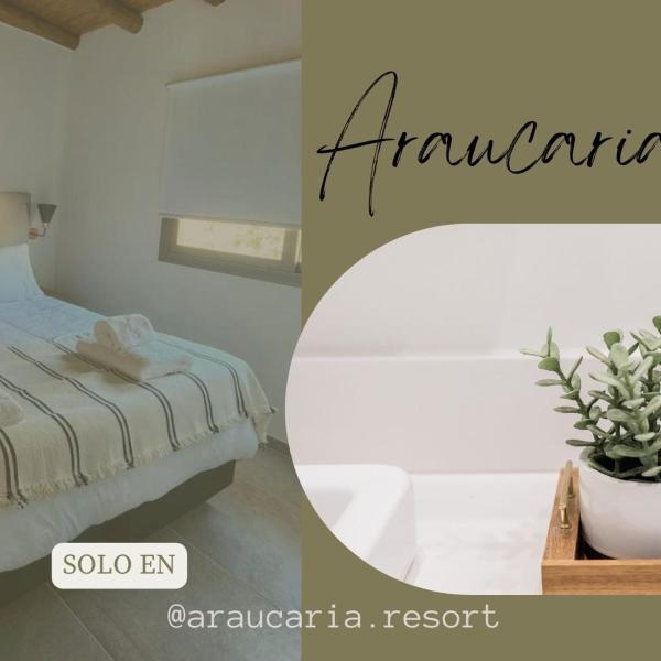 Araucaria Resort - San Rafael