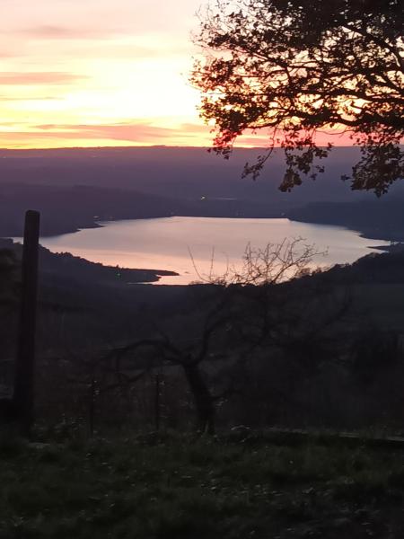Piccola Sorpresa - Todi