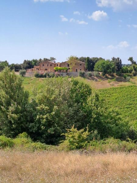 Podere Sole - Rapolano Terme