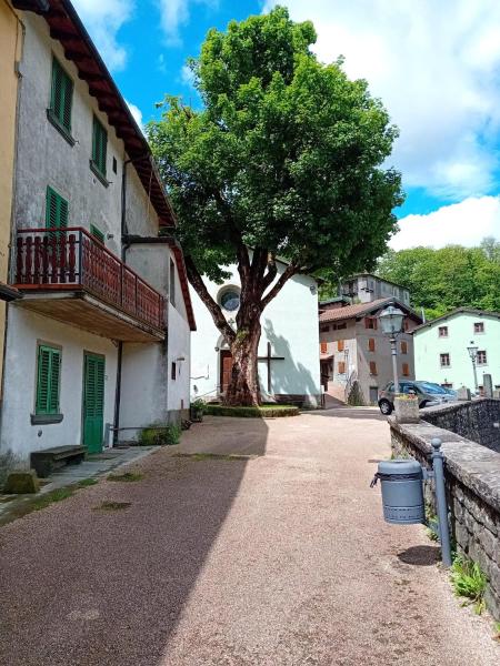 Casa L'acerone - Abetone
