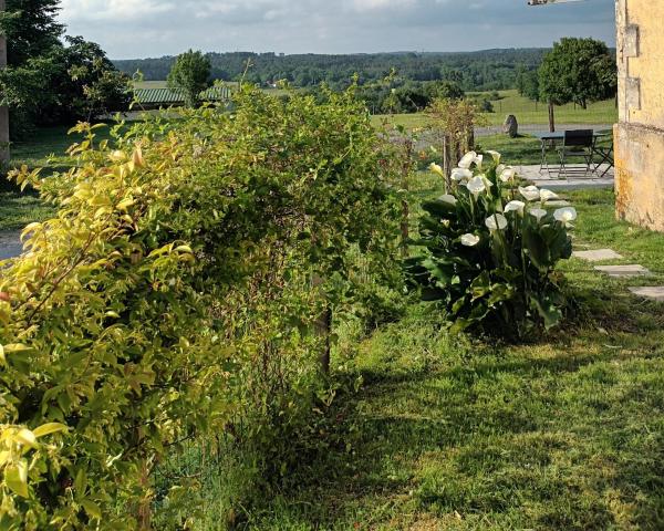Gîte Aux Bois D'en Temps - Bergerac