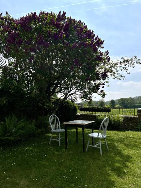 Meadow Rise Guest House - Kingham