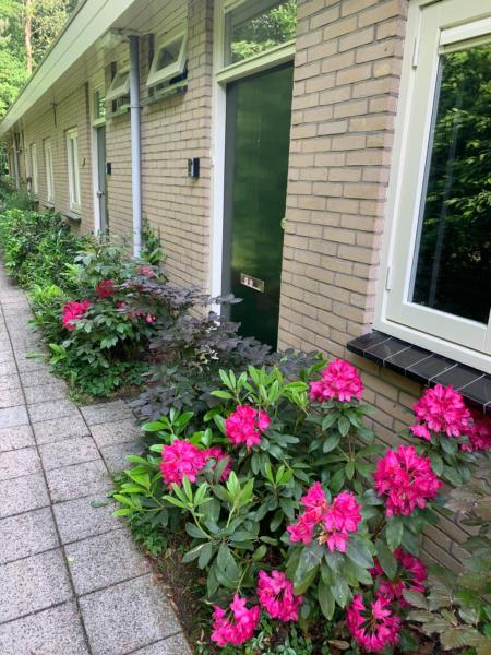 Rode Eekhoorn: Genieten Met De Dieren In Het Bos! - Ede