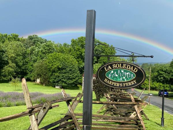 La Soledad Lavender Farm And Guesthouse - Harpers Ferry, WV
