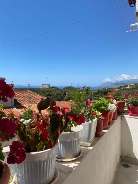 Summerland Lukovë - Borsh