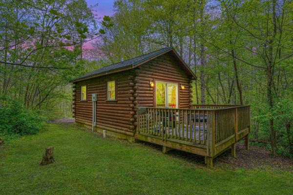 Blue Rose Cabins - Lovebirds Cabin - Logan, OH
