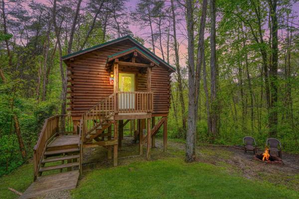 Blue Rose Cabins - Treetops Cabin - Logan, OH