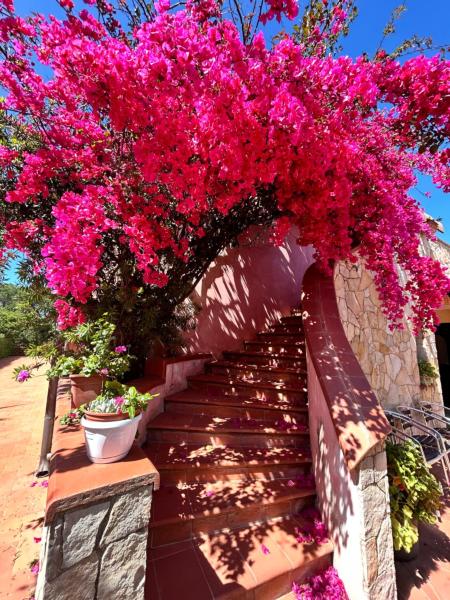 Hotel Fertilia - Alghero