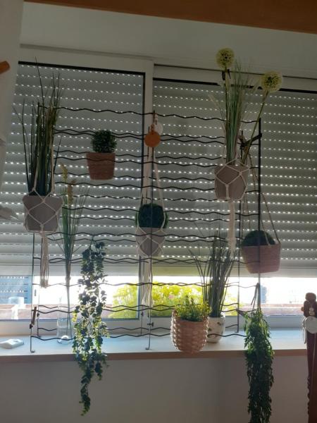 La Casa D'isa - Ducey