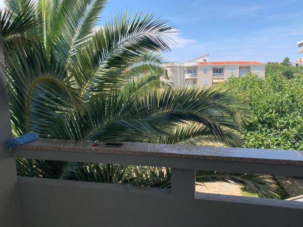 Apartments Filla Novalja - Novalja