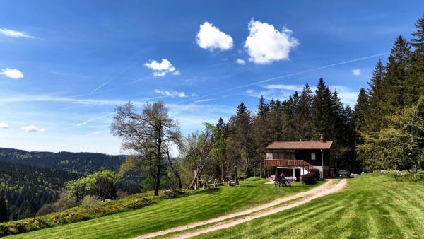 Chalet Perle Des Hauts - La Bresse