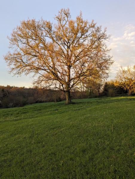 Couette Et Tartinettes - Vic-Fezensac
