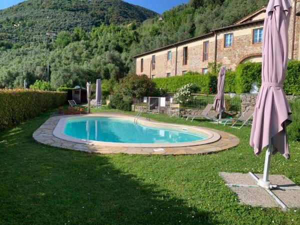 Il Grillo Sull'olivo - Camaiore