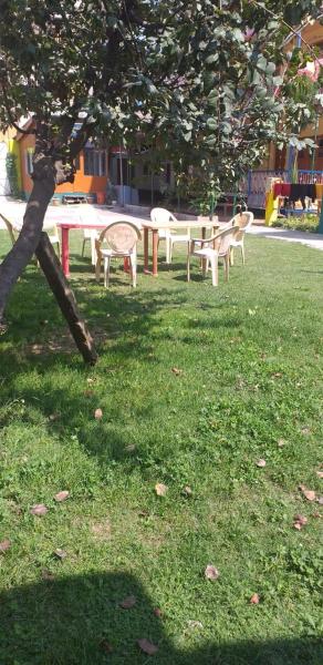 Mmsons - Srinagar