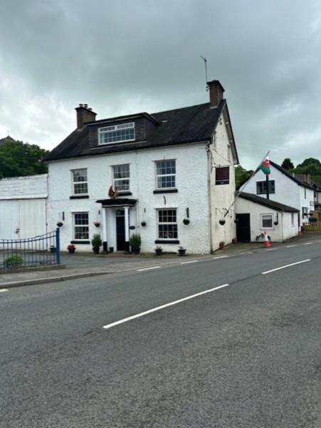 Dolgoch Mill House Annexe - Welshpool