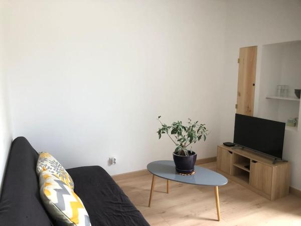 Studio Avec Terrasse Privative De 20 M Carré - Lourdes