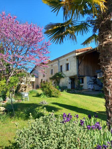 Plumes D'art - Ariege