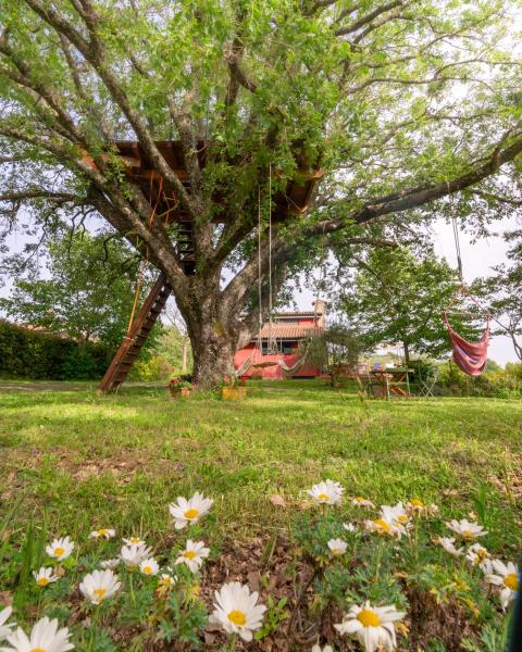 La Casa Rossa Nell’oasi Verde - Lazio