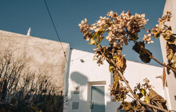 Casa Da Figueira - Guest House - Vila do Bispo