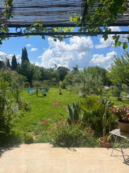 L'oléastre En Luberon 2 - Cucuron