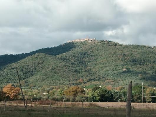 M G Vetulonia - Grosseto