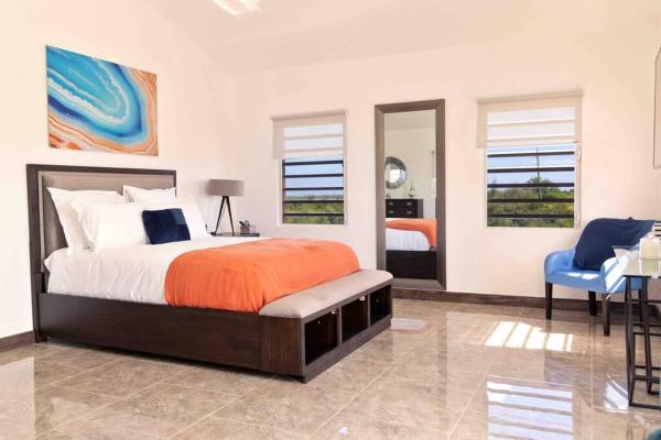 Thrush Nest View Studio Apartment - Anguilla