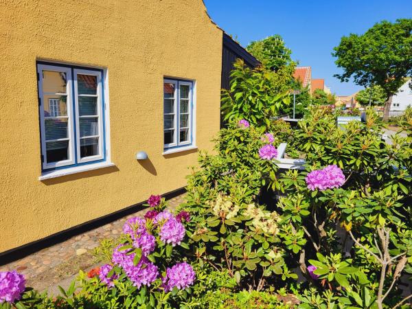 Tinghus Flat - Skagen