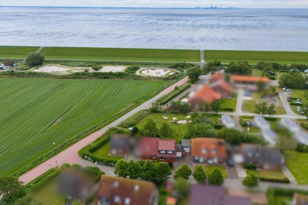 Carpe Tempus - Delfzijl