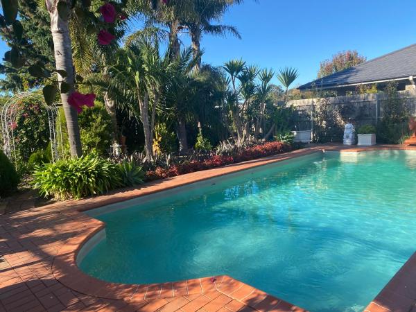 Merrypetch - Dromana