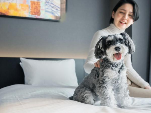Hotel Anddoggy Kyoto Nijo - Kyoto