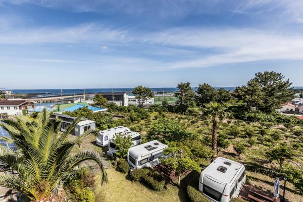 Jeju Pine Beach Pension - Jeju-si