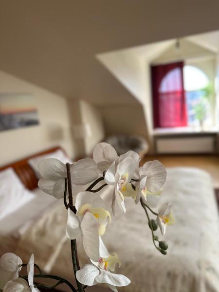 Old Town Apartment With Sauna - Lettland