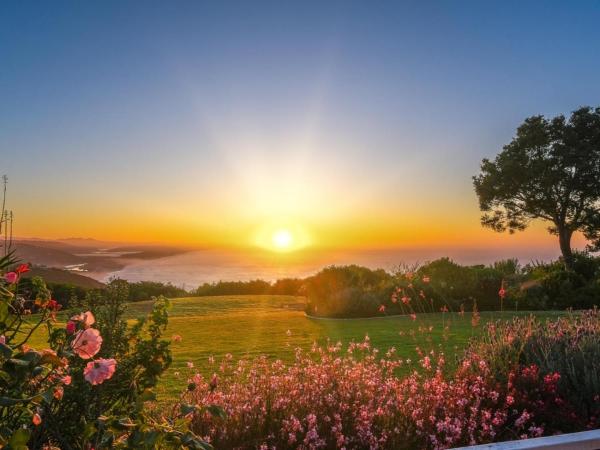 Hilltop Boutique Hotel - Victoria Bay