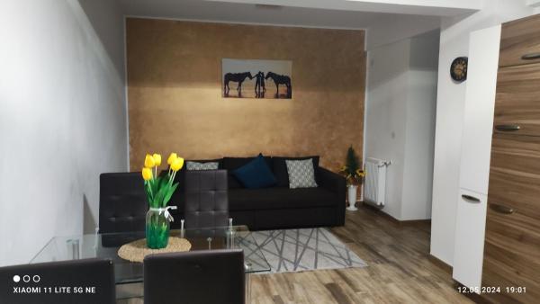 Apartament Lenus'k - Bucharest