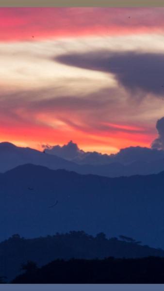 Shalom - Manizales