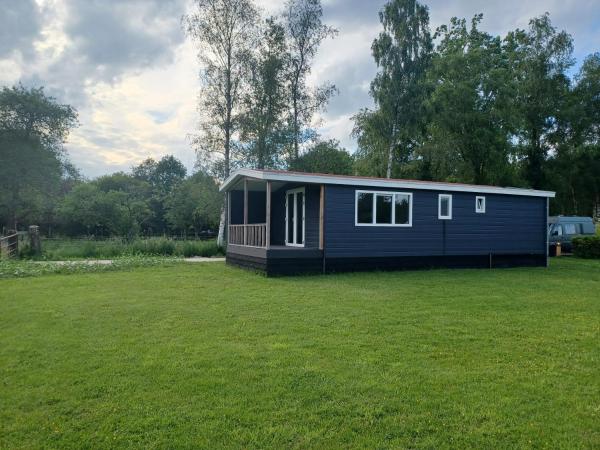 Ijsvogel - Assen
