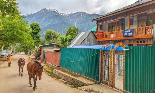 Mir Guest House - Pahalgam