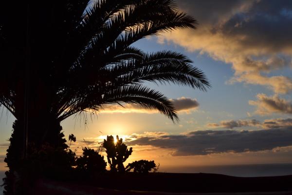 El Quinto Pino - El Estudio - La Palma