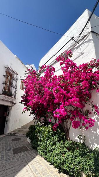 Suite Buganvilla Vejer - Los Caños de Meca