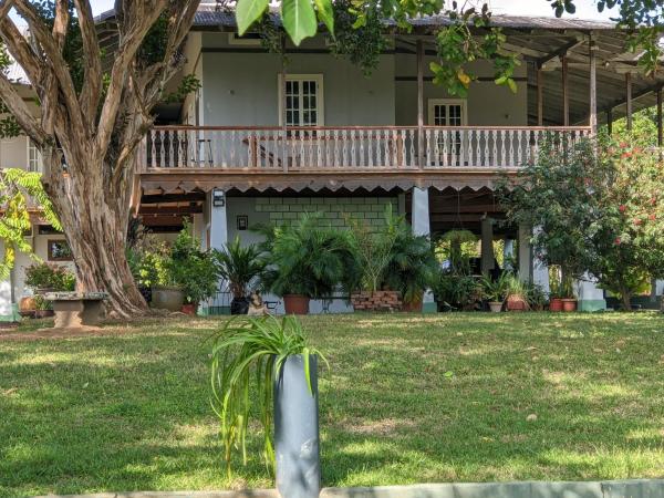 Coquira Soil Project - Panama