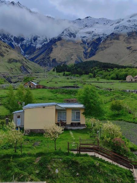 Mountain Kazbegi Apartment - Республика Ингушетия