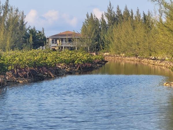 Scena's Place - The Bahamas