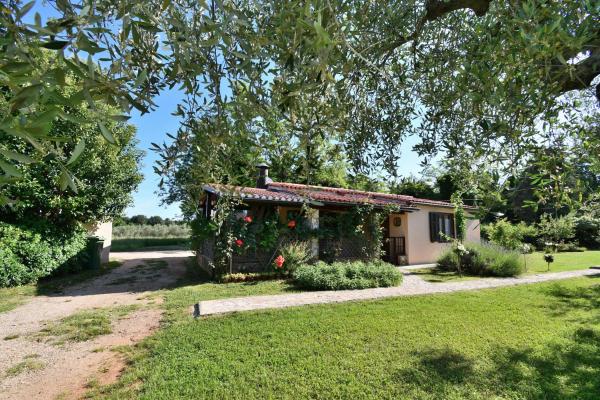 House Ariella - Novigrad