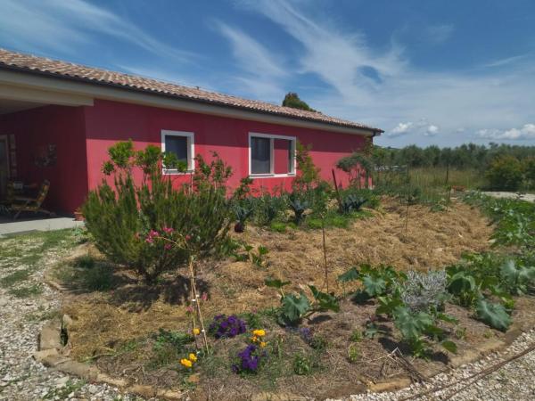 Le Dimore Rosse - Agriturismo - Piombino