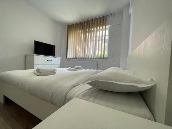 Travelers Home Two Bedrooms - Suceava