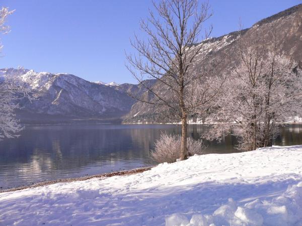 Apartment Cesar - Municipality of Bohinj